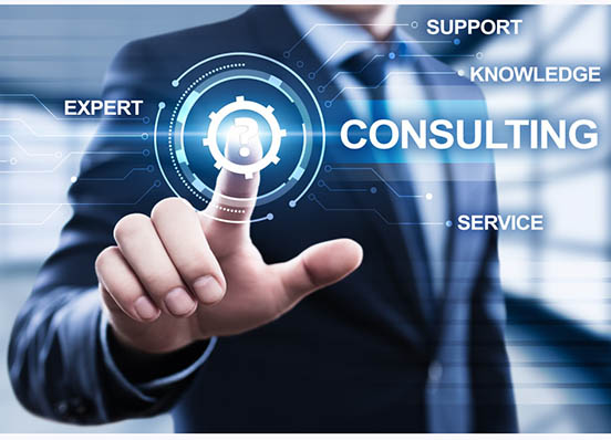 Why Should You Pay for an Expert Consultation after all?